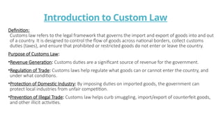 Custom_Law_Custom_Law_Custom_Law_Custom_Law_Custom_Law_.pptx