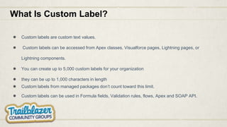 Custom Metadata and Custom Settings and Custom Lebel in Salesforce.pptx ...