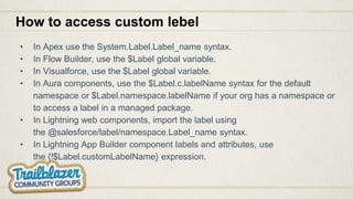 Custom Metadata and Custom Settings and Custom Lebel in Salesforce.pptx ...