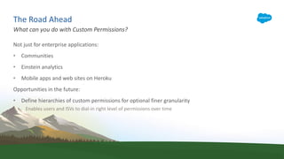 Using Custom Permissions to Simplify Security | PPT