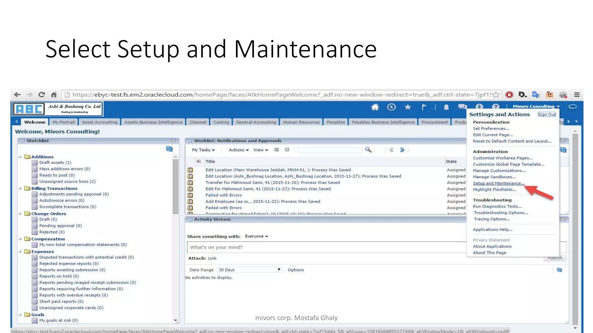Oracle Fusion Custom Role Guide | PPTX