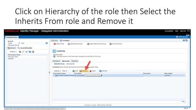 Oracle Fusion Custom Role Guide | PPT