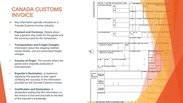Customs Issues and Procedure Part 2.pptx