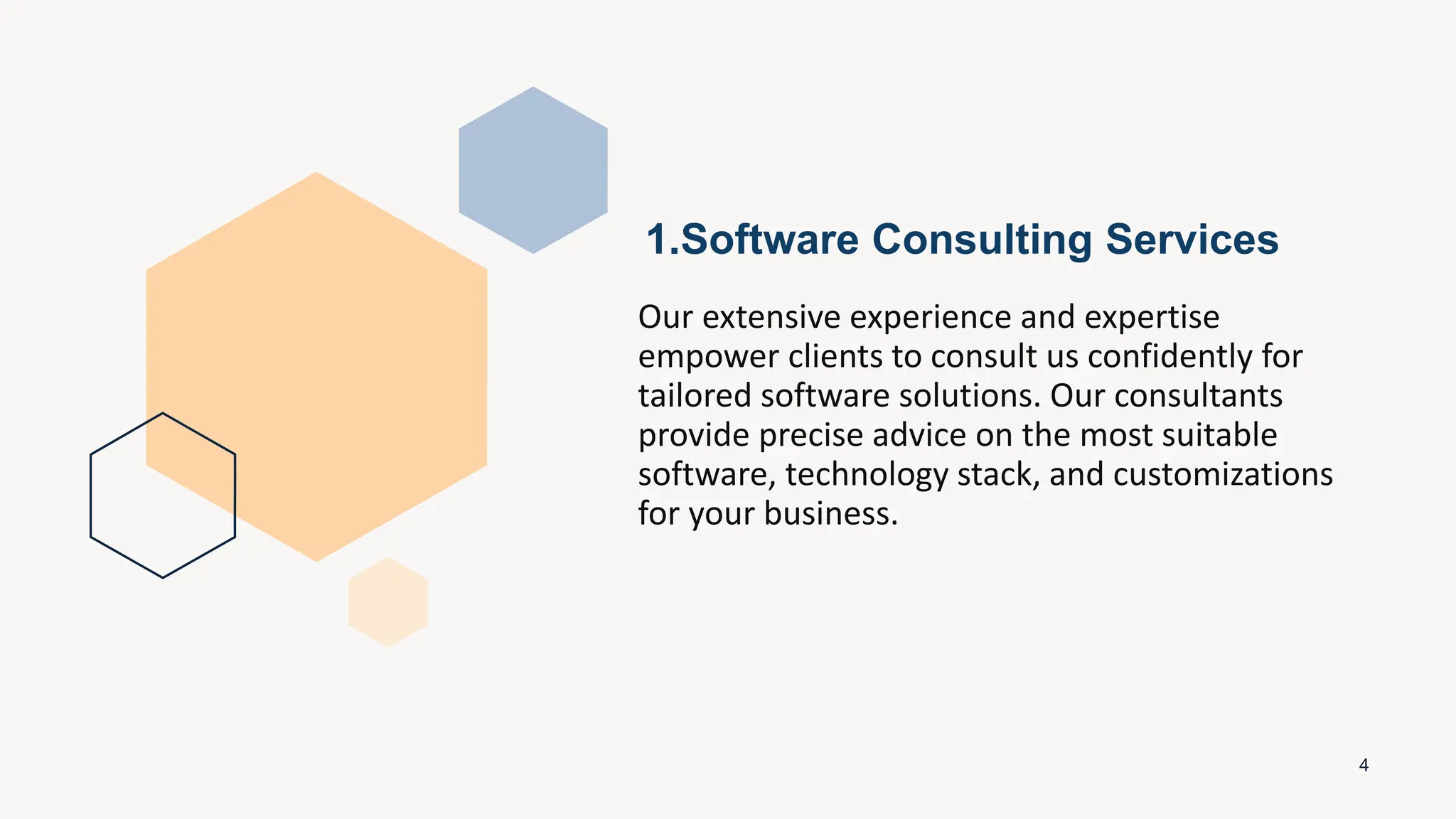 Custom Software Application Development Services.pptx