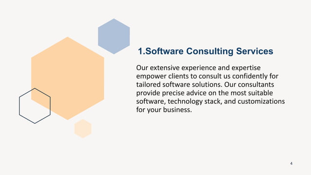 Custom Software Application Development Services.pptx