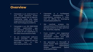 Custom Software PPT.pptx