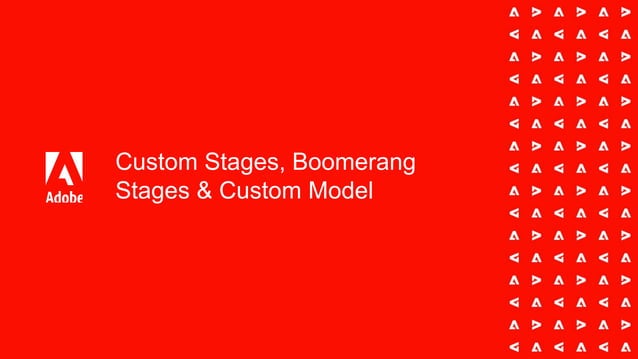 Custom Stages_Boomerang Stages_Custom Model.pdf