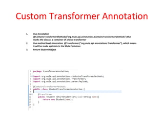 Custom transformer and annotation | PPT