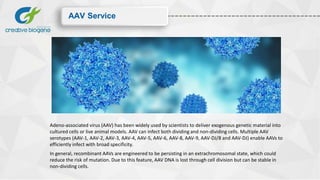 Custom viral service | PPT