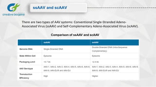 Custom viral service | PPT