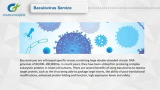 Custom viral service | PPT