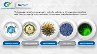 Custom viral service | PPT