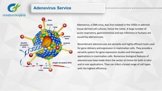 Custom viral service | PPT