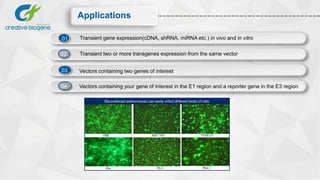 Custom viral service | PPT