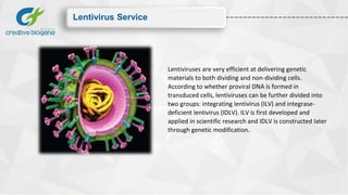 Custom viral service | PPT