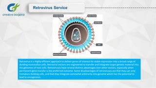 Custom viral service | PPT