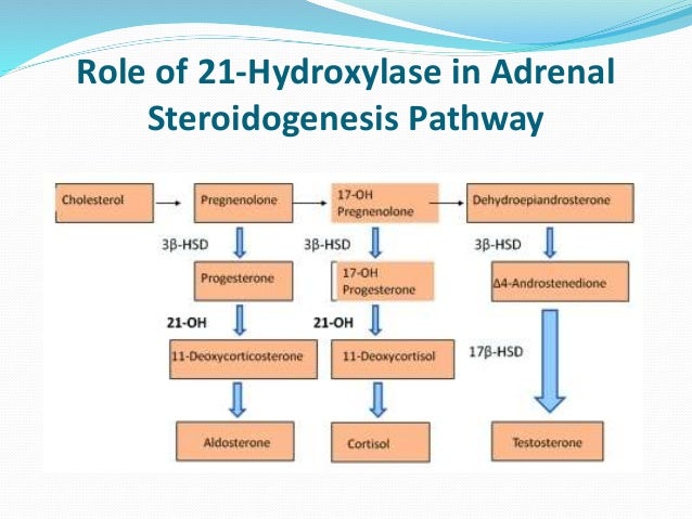 Cutaneous Signs of Androgenization