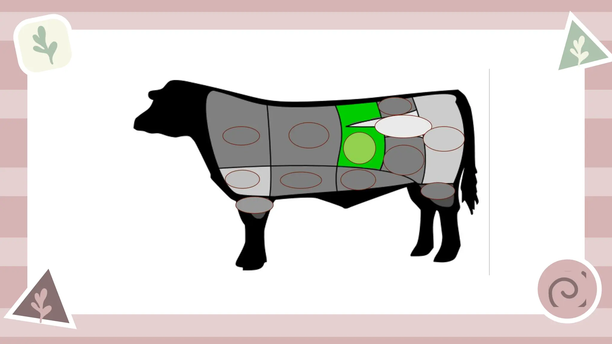 COOK AND PRESENT MEAT DISHES: DIFFERENT CUTS OF MEAT.pptx