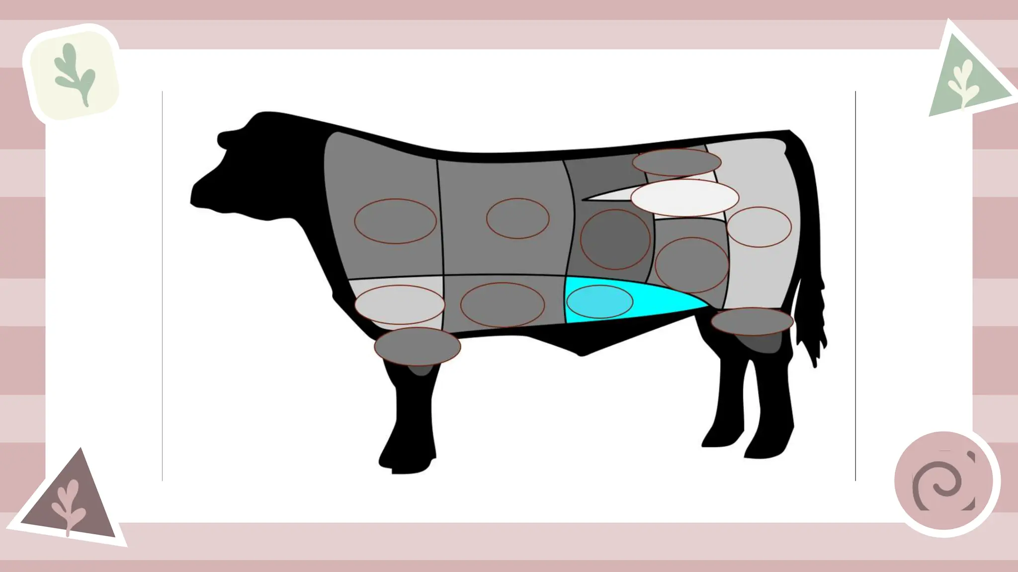 COOK AND PRESENT MEAT DISHES: DIFFERENT CUTS OF MEAT.pptx