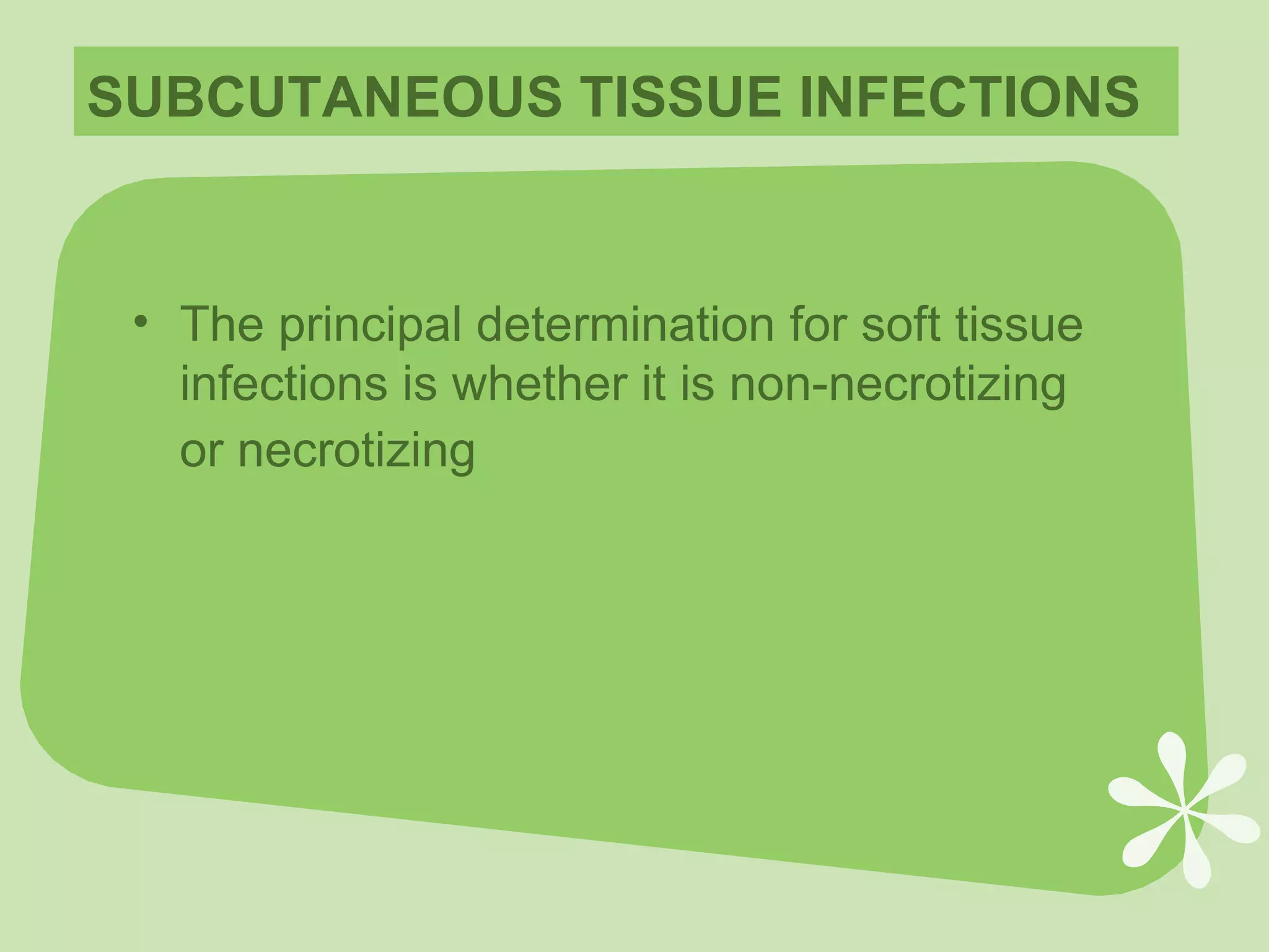Cutaneous Bacterial Infections | PPT