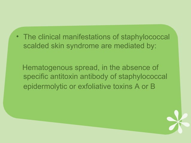 Cutaneous Bacterial Infections | PPT | Skin and Dermatology | Diseases ...
