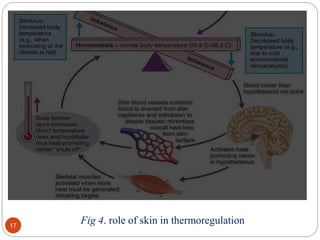 Cutaneous and lymphatic circulation | PPTX