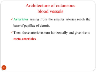 Cutaneous and lymphatic circulation | PPTX