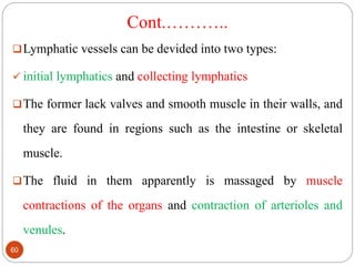 Cutaneous and lymphatic circulation | PPTX