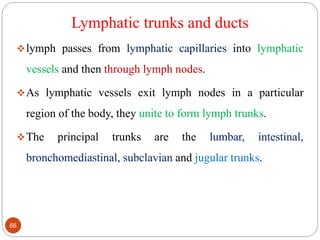 Cutaneous and lymphatic circulation | PPTX