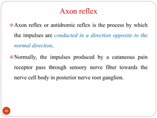 Cutaneous and lymphatic circulation | PPT