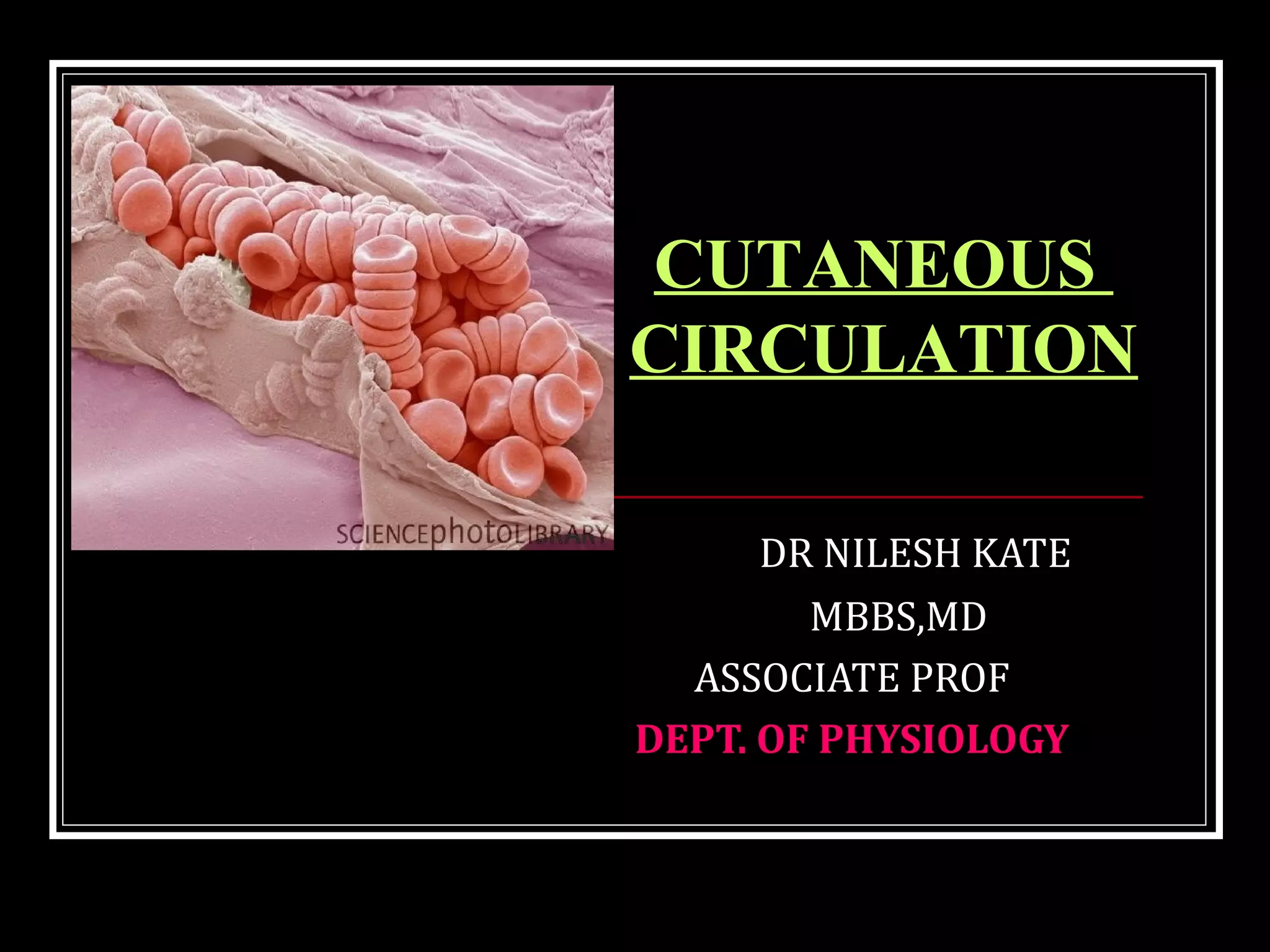 Cutaneous circulation | PPT