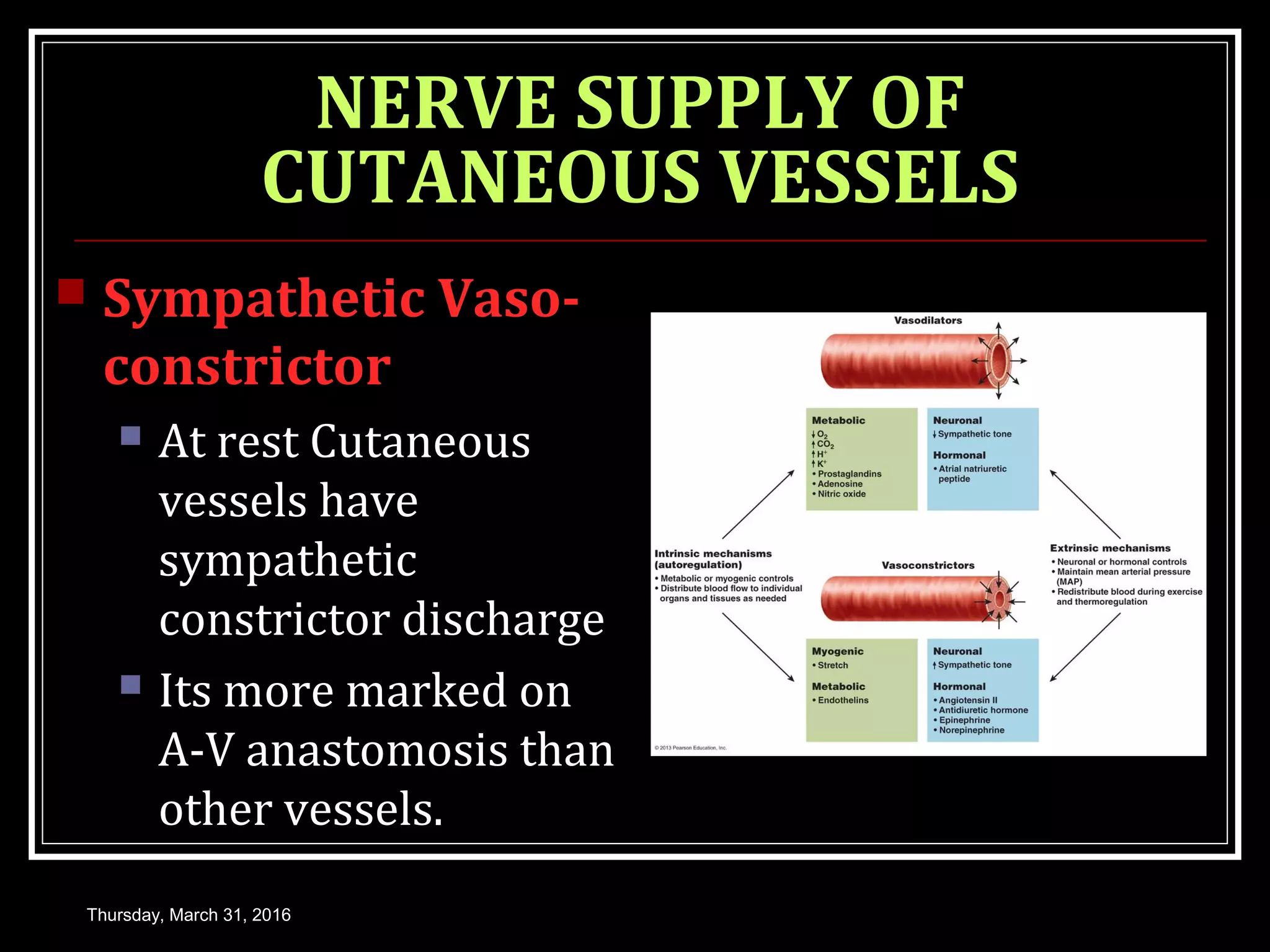Cutaneous circulation | PPT