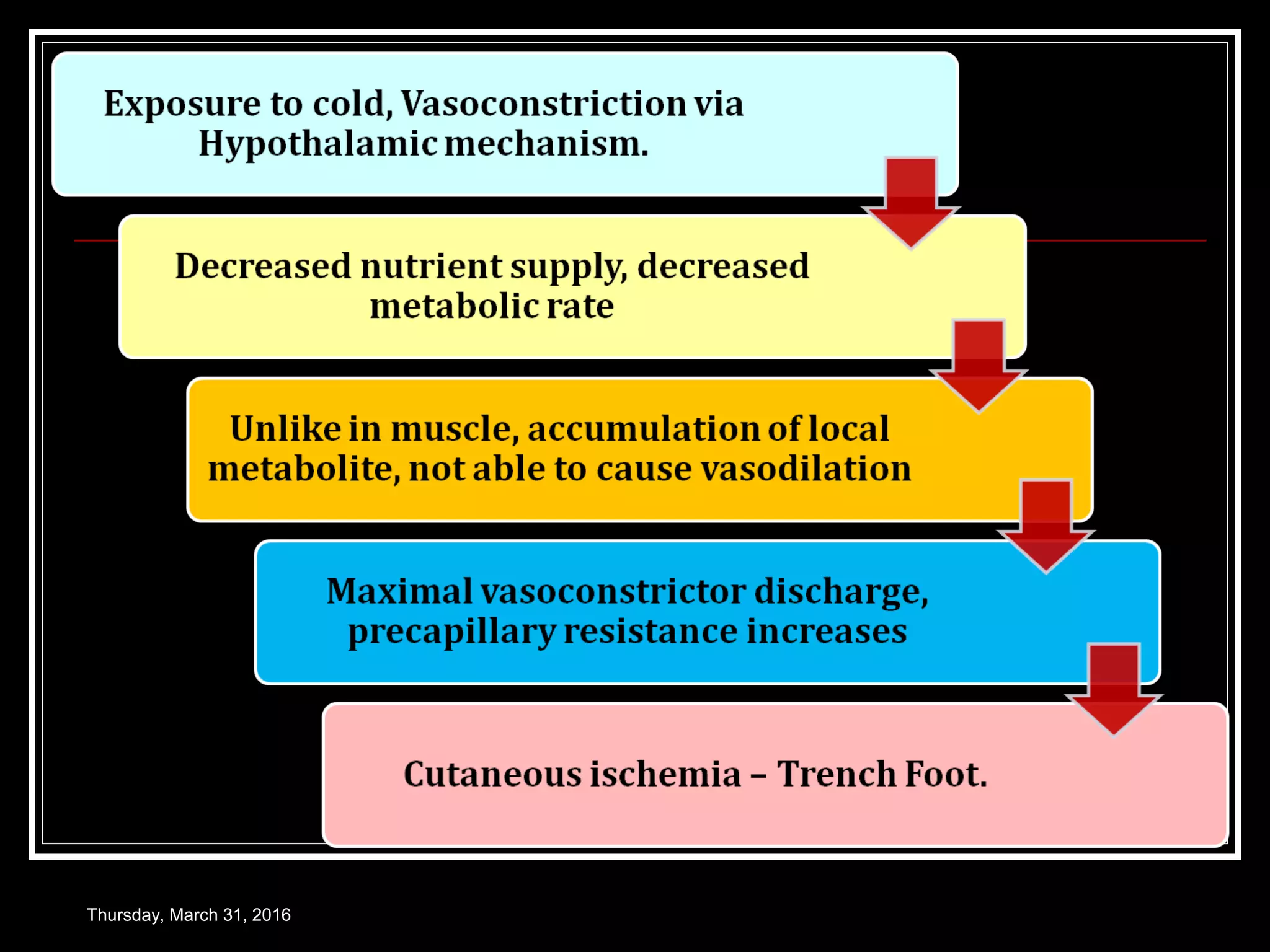 Cutaneous circulation | PPT