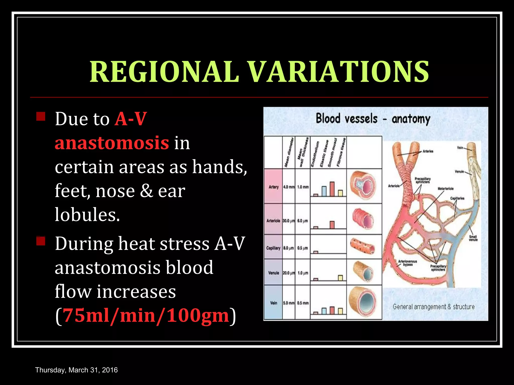 Cutaneous circulation | PPT