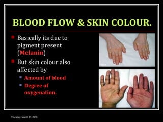 Cutaneous circulation | PPT