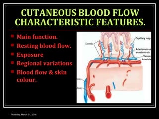 Cutaneous circulation | PPT