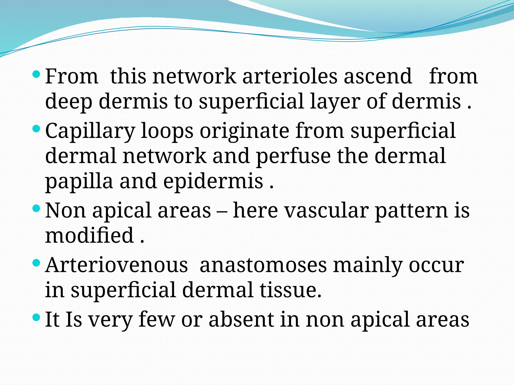 Cutaneous circulation.pptx 2024 for adults | PPTX