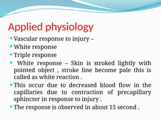 Cutaneous circulation.pptx 2024 for adults | PPTX