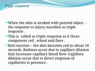 Cutaneous circulation.pptx 2024 for adults | PPTX
