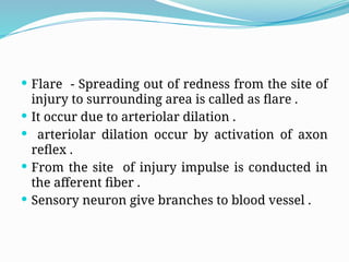 Cutaneous circulation.pptx 2024 for adults | PPTX