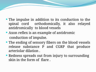 Cutaneous circulation.pptx 2024 for adults | PPTX