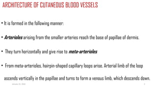 Physiology and control of Cutaneous Circulation.pptx