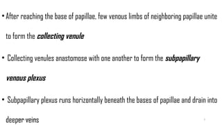 Physiology and control of Cutaneous Circulation.pptx