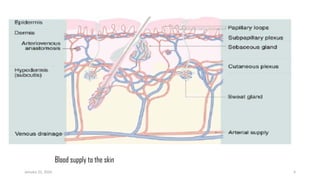 Physiology and control of Cutaneous Circulation.pptx