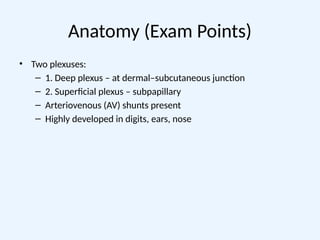 Cutaneous_Circulation_Detailed_Exam_Oriented-1.pptx