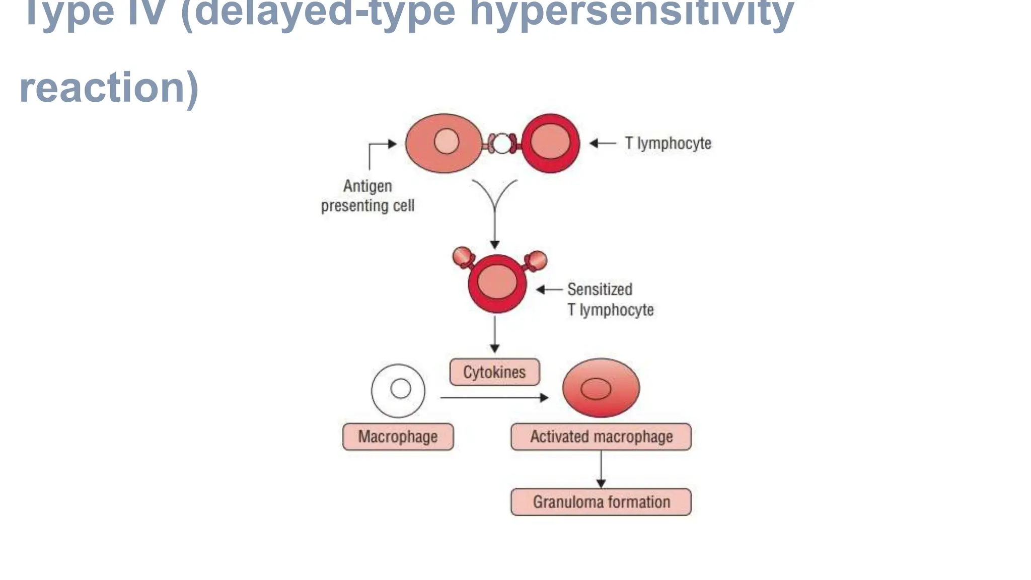 Cutaneous id reaction derma ppt dermatophytosis | PPTX