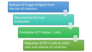 Cutaneous id reaction derma ppt dermatophytosis | PPTX