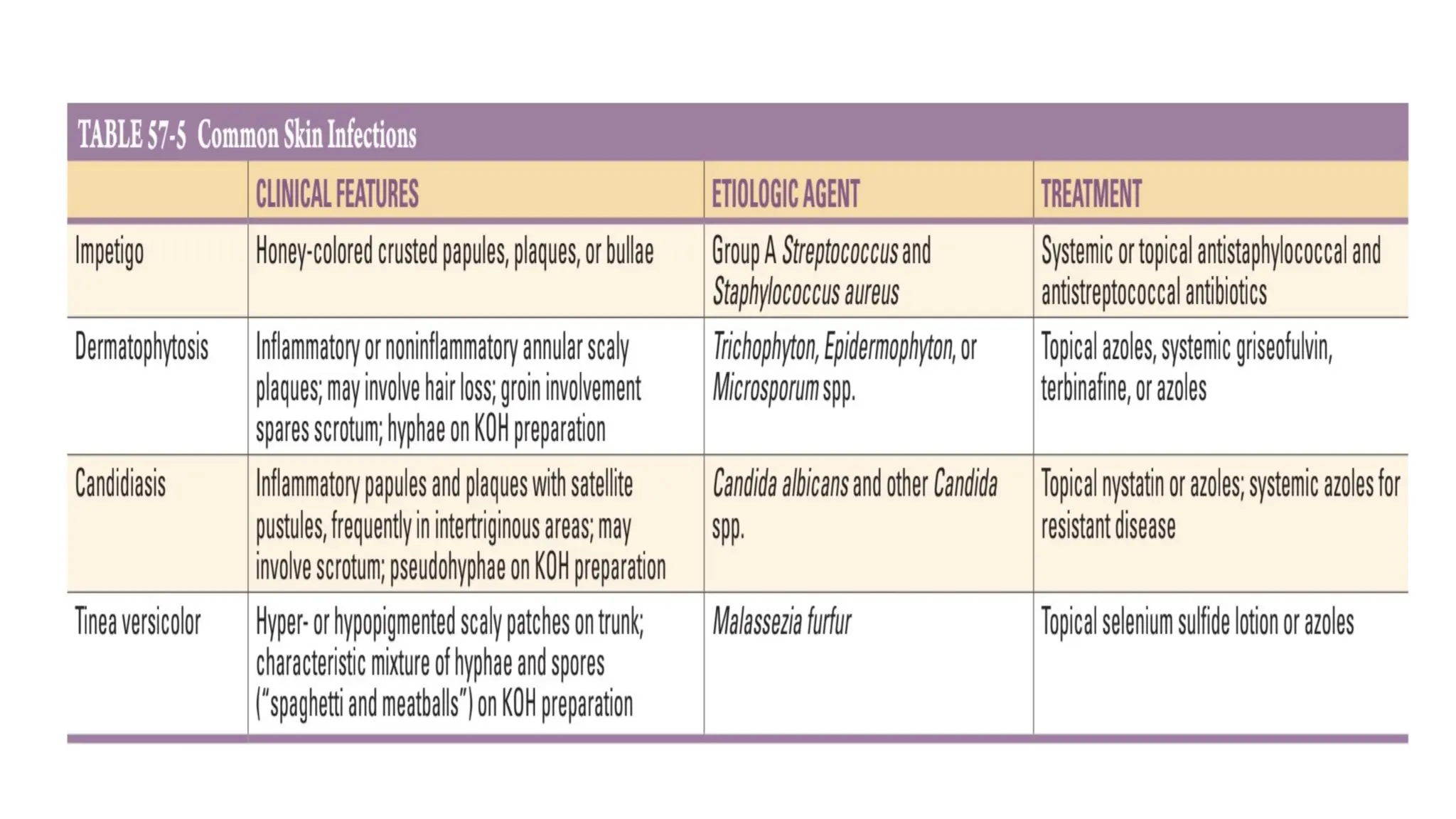 cutaneous infections from benign lesions | PPT