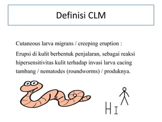 Cutaneous Larva Migrans | PPTX