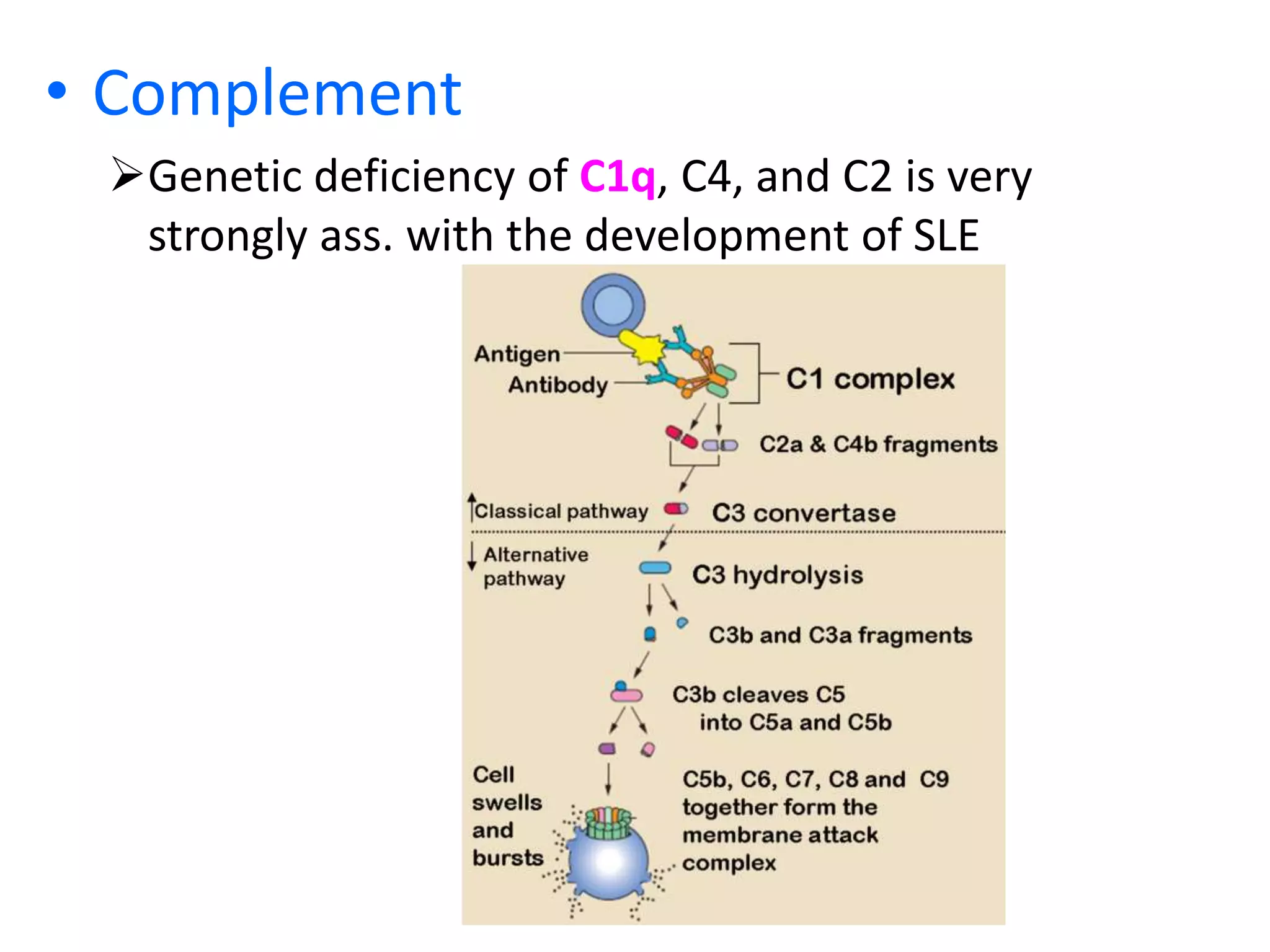 Cutaneous lupus erythematosus | PPTX
